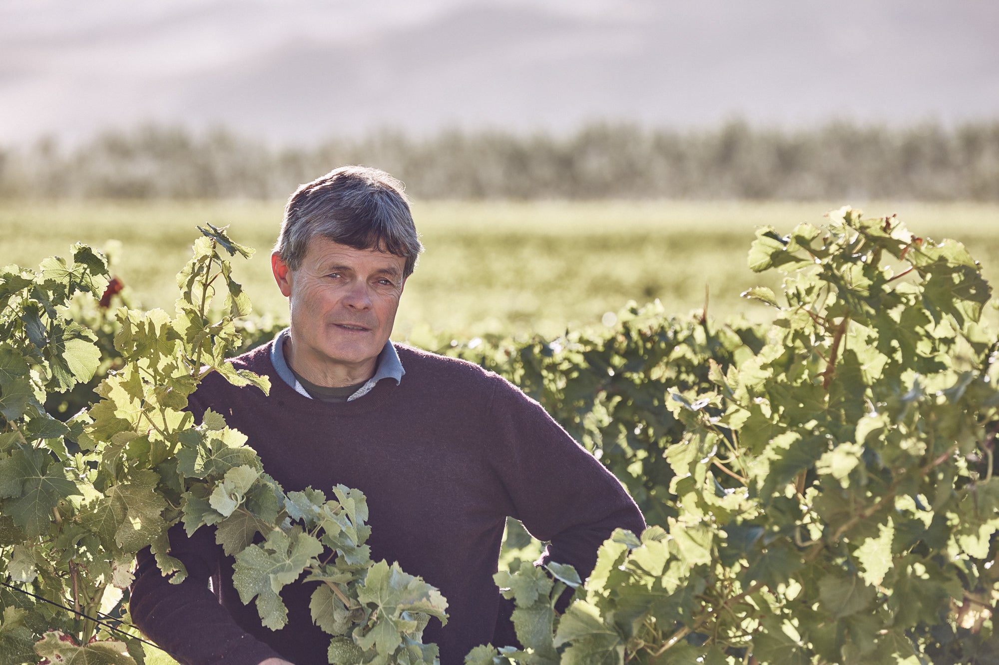 Our Story – Amisfield