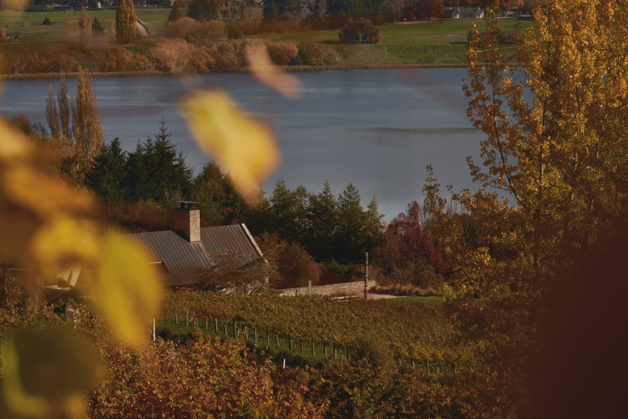 Cellar Door – Amisfield