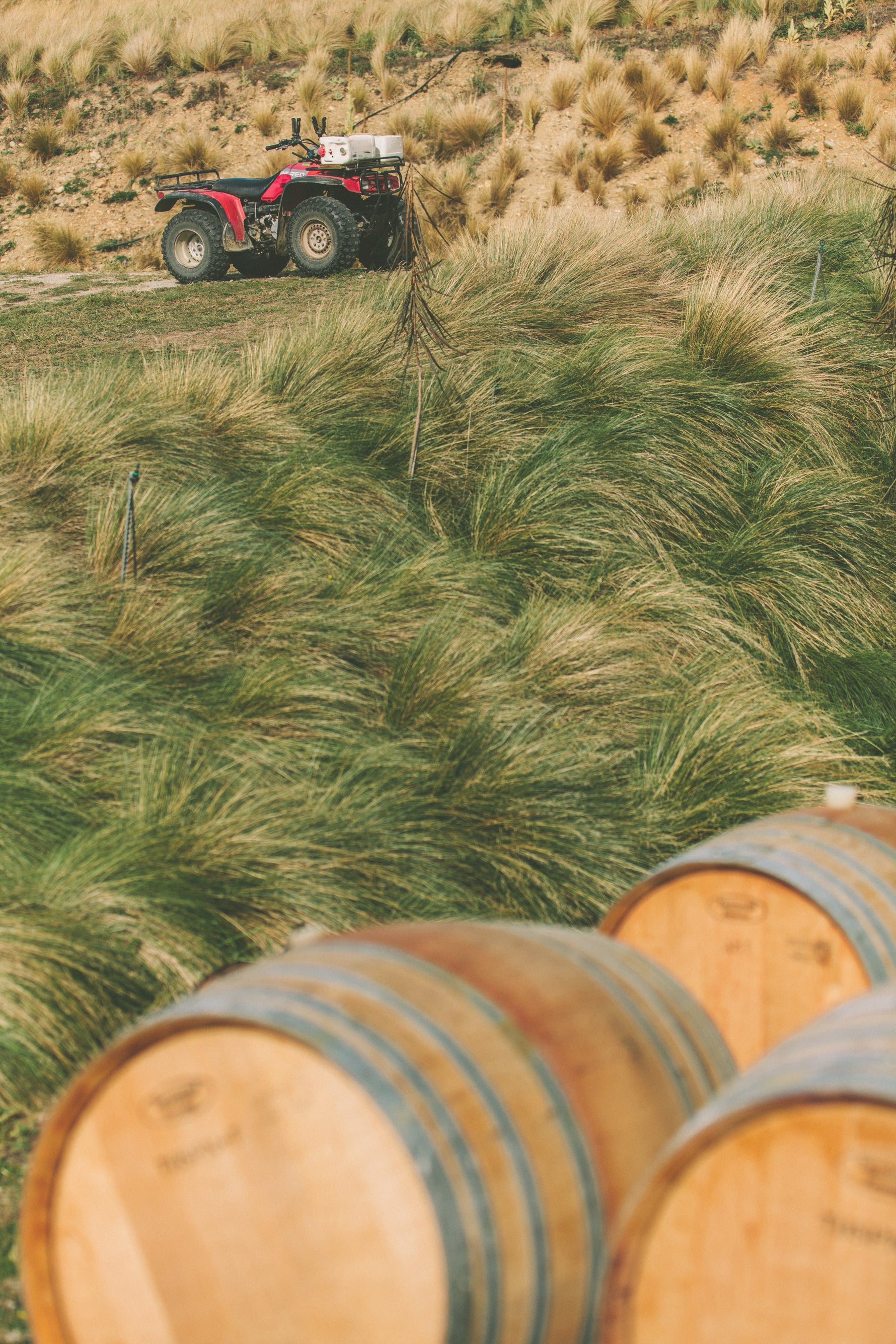 Cellar Door – Amisfield